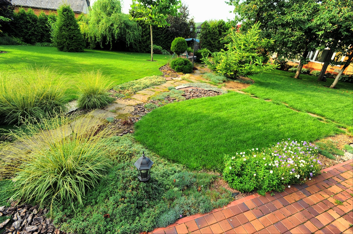 7 Essential Tips for a Low-Maintenance Landscape
